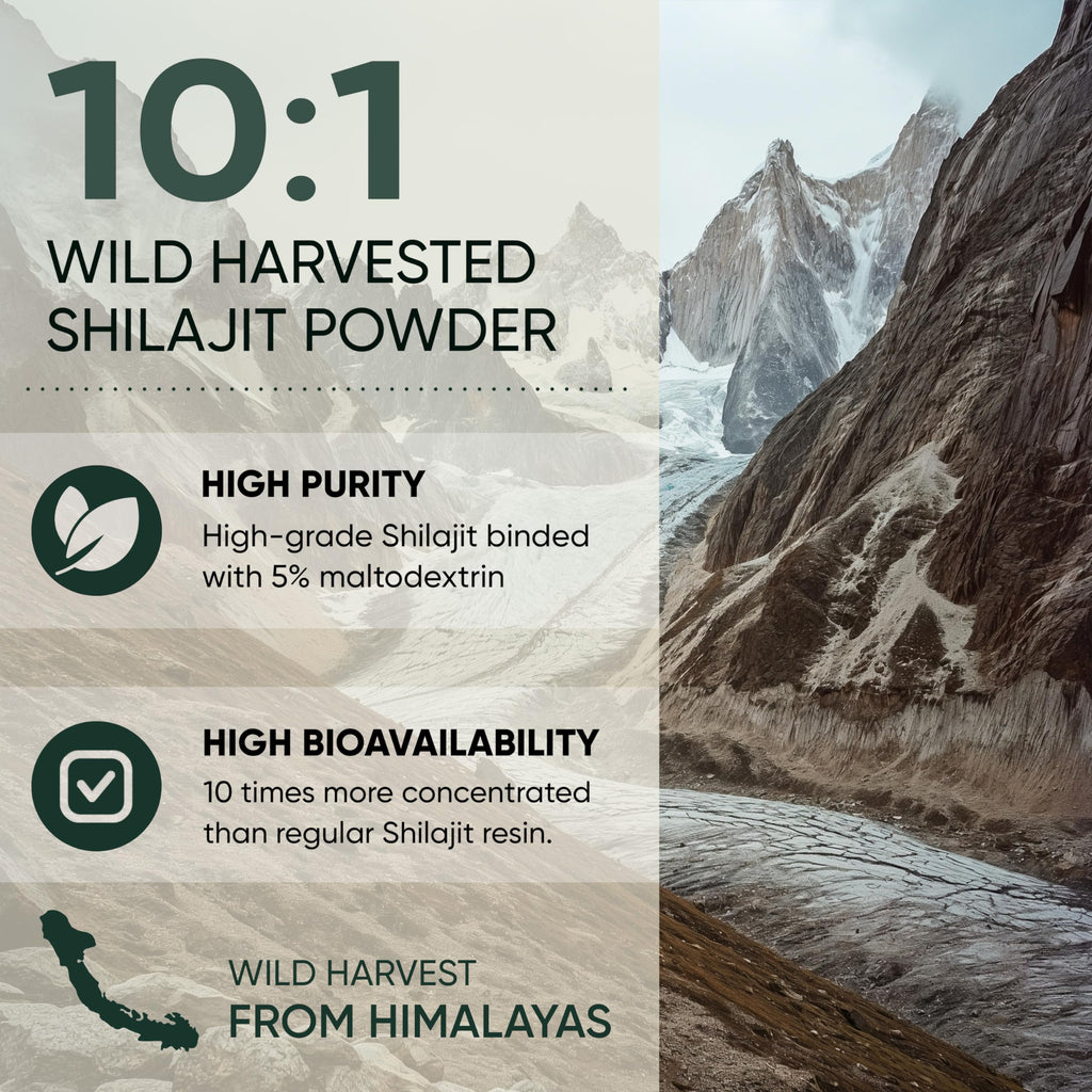 shilajit powder for vitality