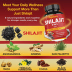 shilajit resin capsules for endurance