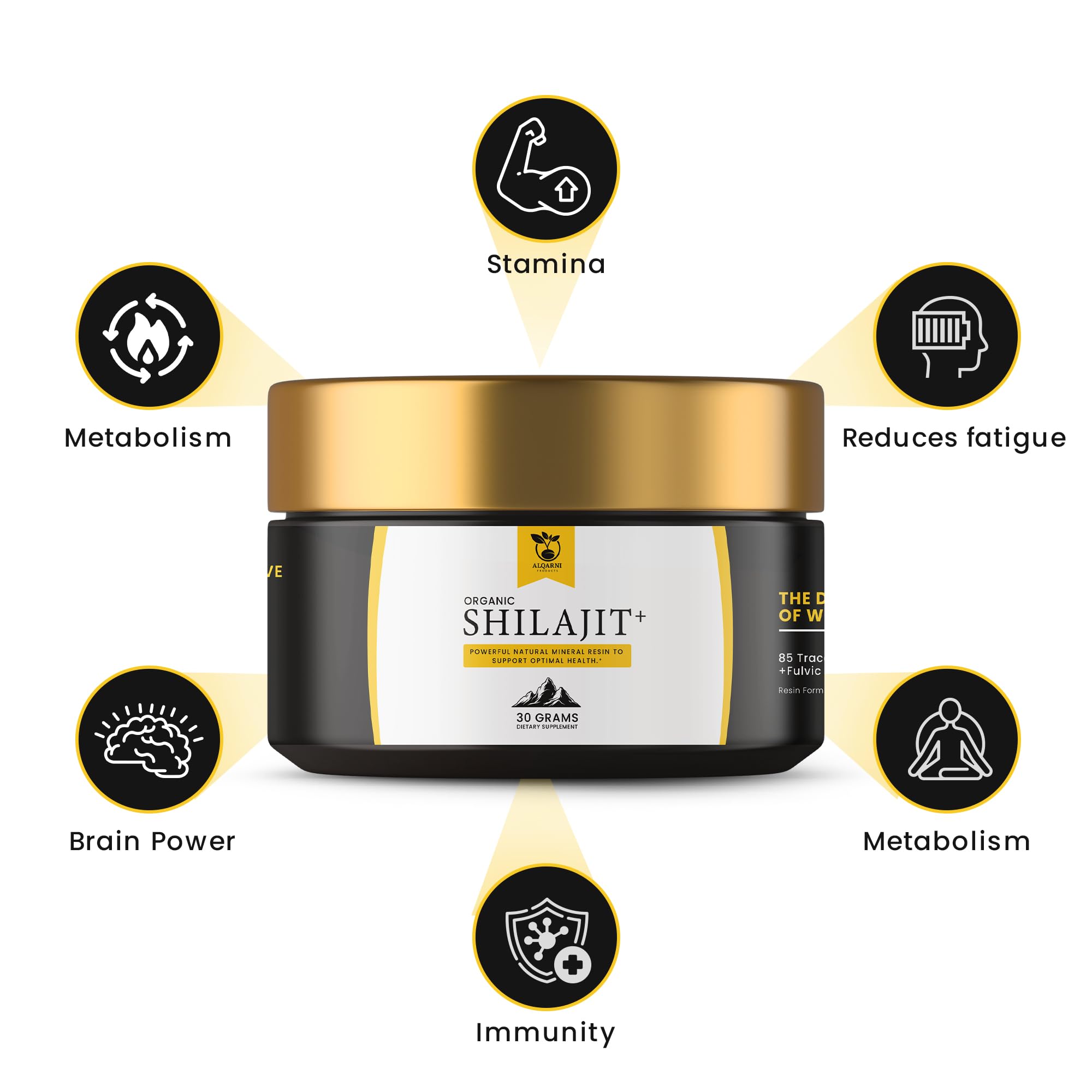 shilajit resin for daily nutrition