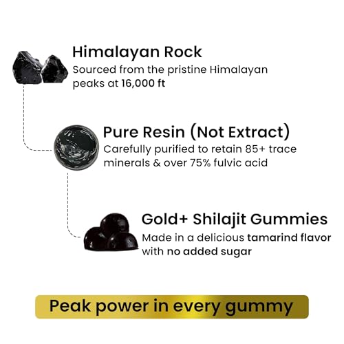 shilajit resin for daily use