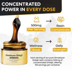 shilajit resin for daily wellness