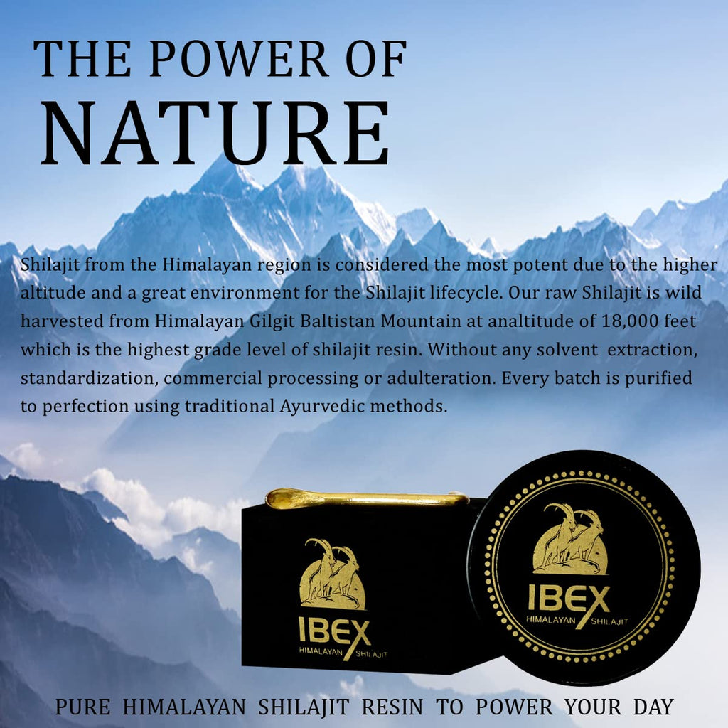 shilajit resin for daily wellness