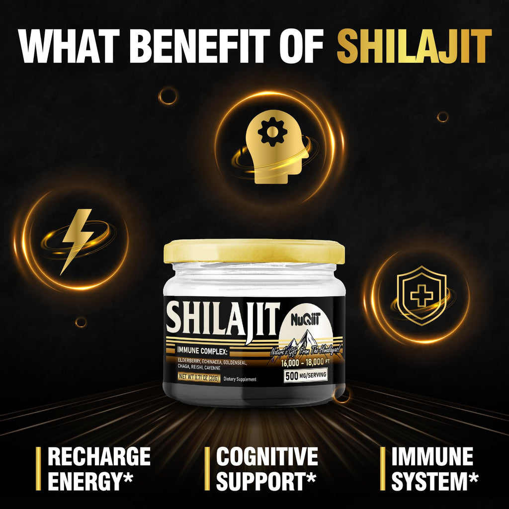 shilajit resin for daily wellness