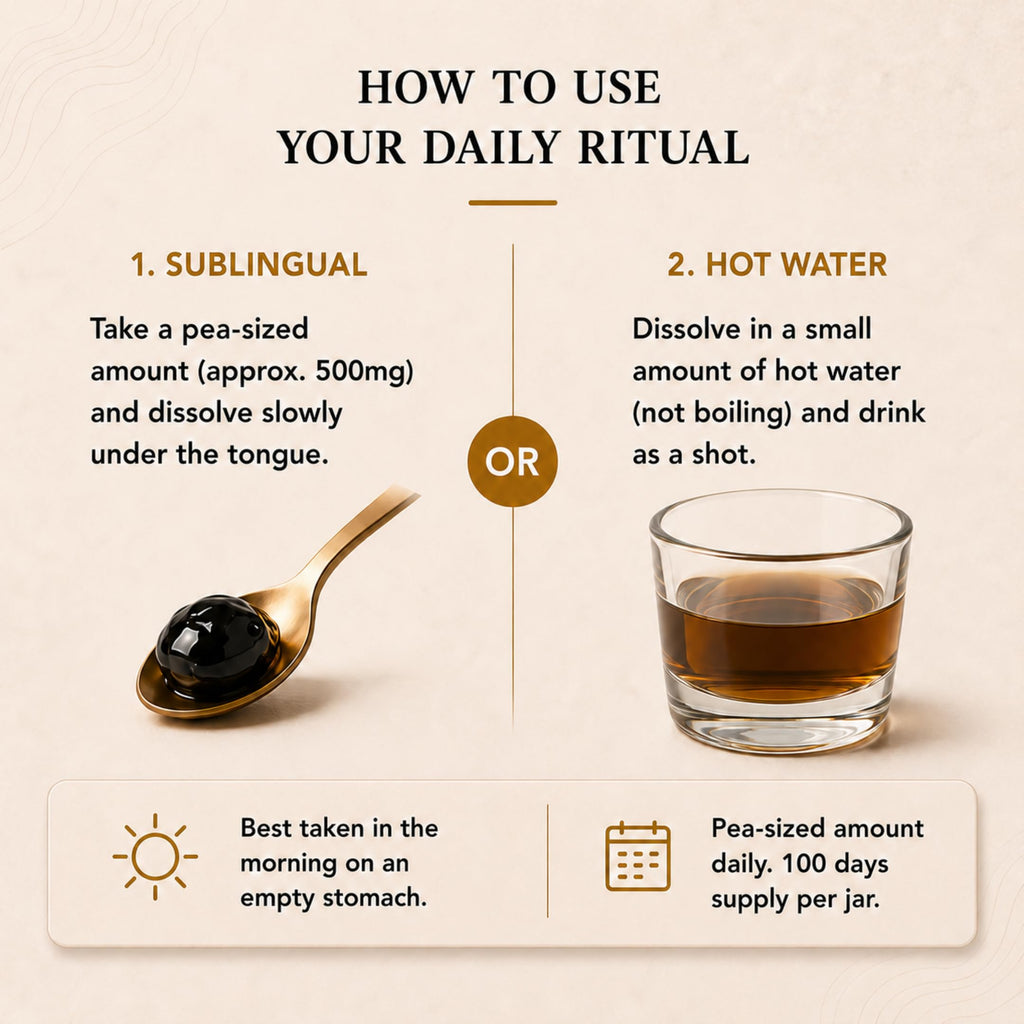 Shilajit resin for energy support