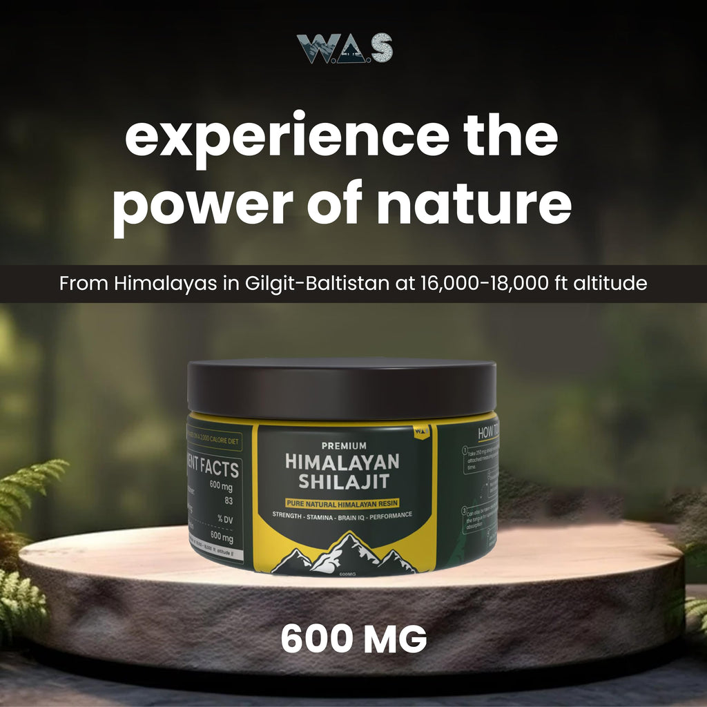 shilajit resin for energy