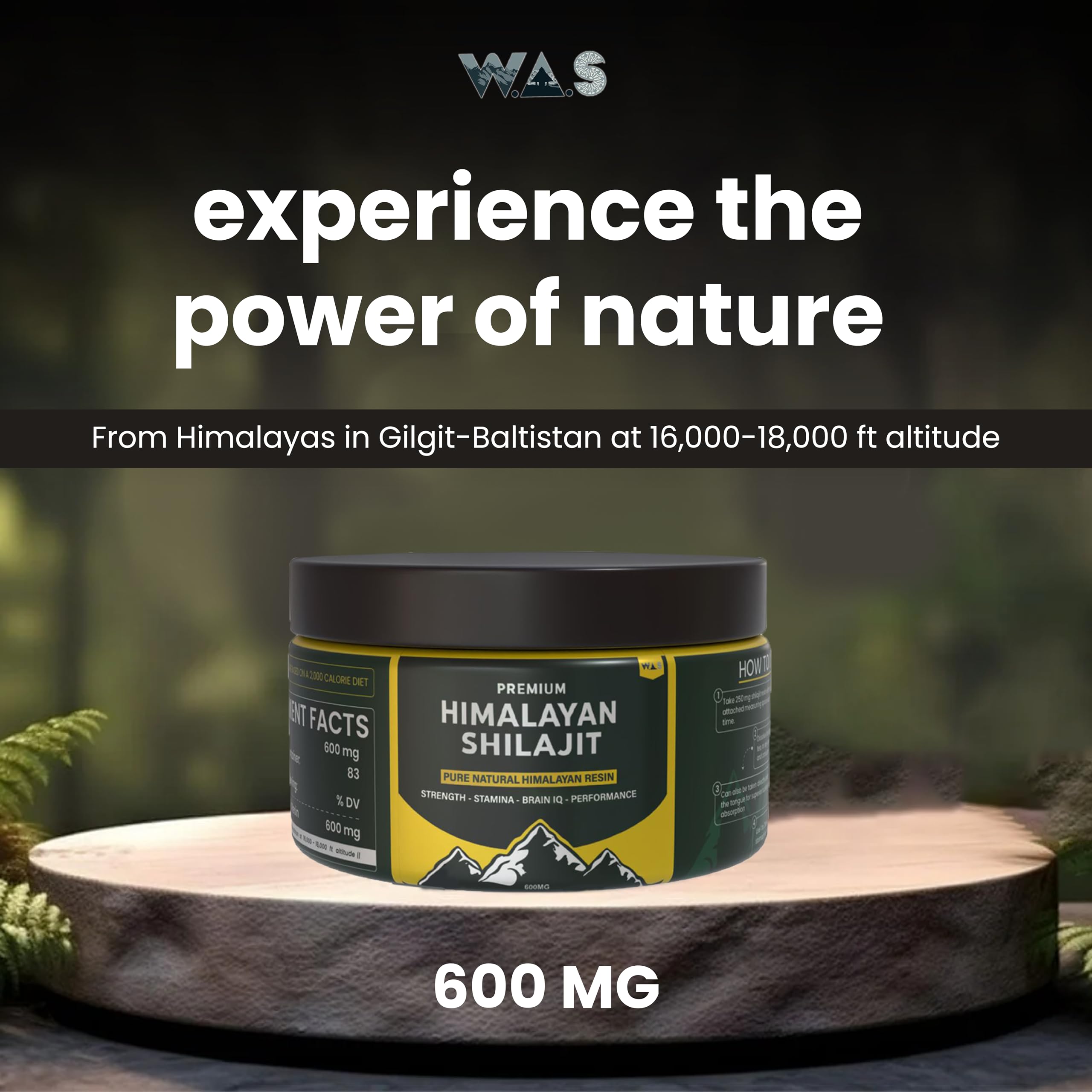 shilajit resin for energy