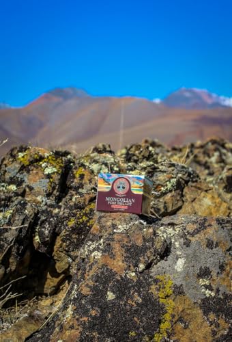 shilajit resin for enhanced nutrient absorption