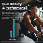 shilajit resin for enhanced performance