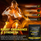 shilajit resin for enhanced vitality