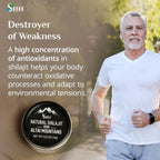 shilajit resin for holistic health