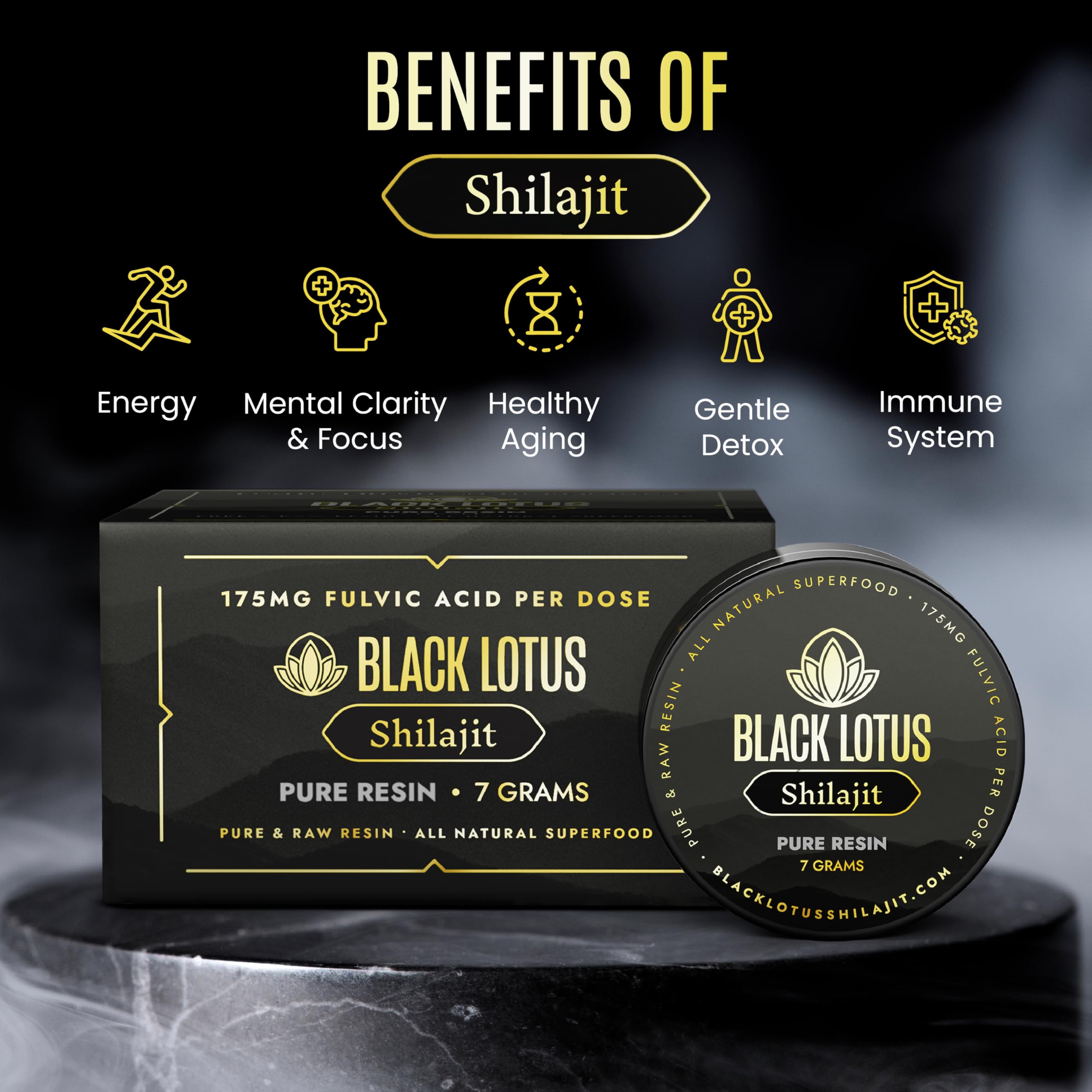 Shilajit resin for immune support