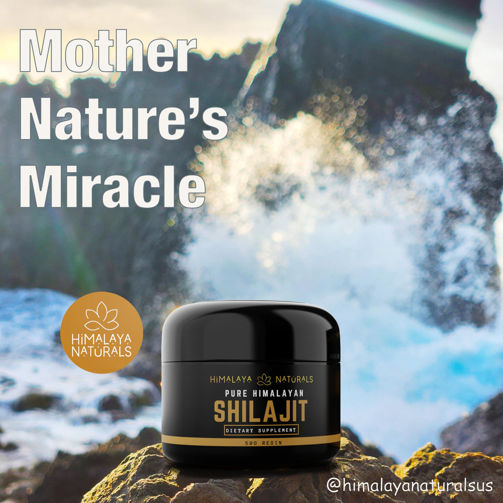 Shilajit resin for immune support