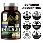 shilajit resin for immune support
