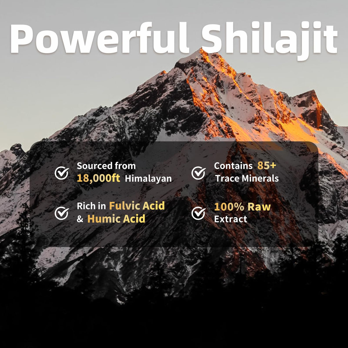 shilajit resin for improved vitality