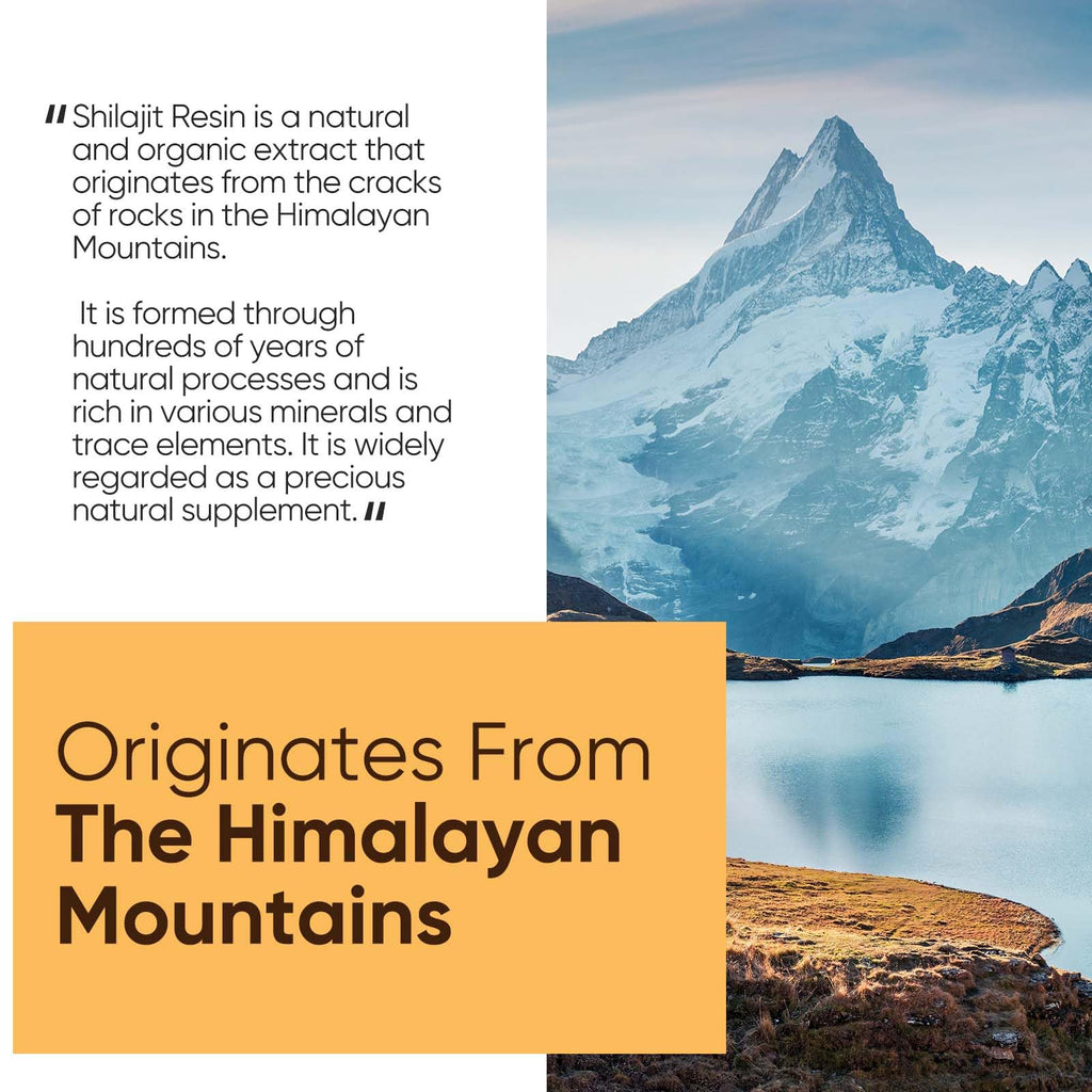 Shilajit resin for mental clarity