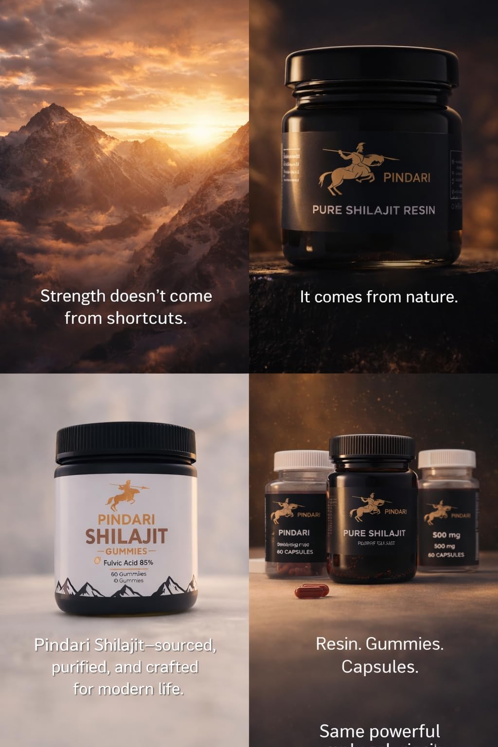 shilajit resin for mental clarity