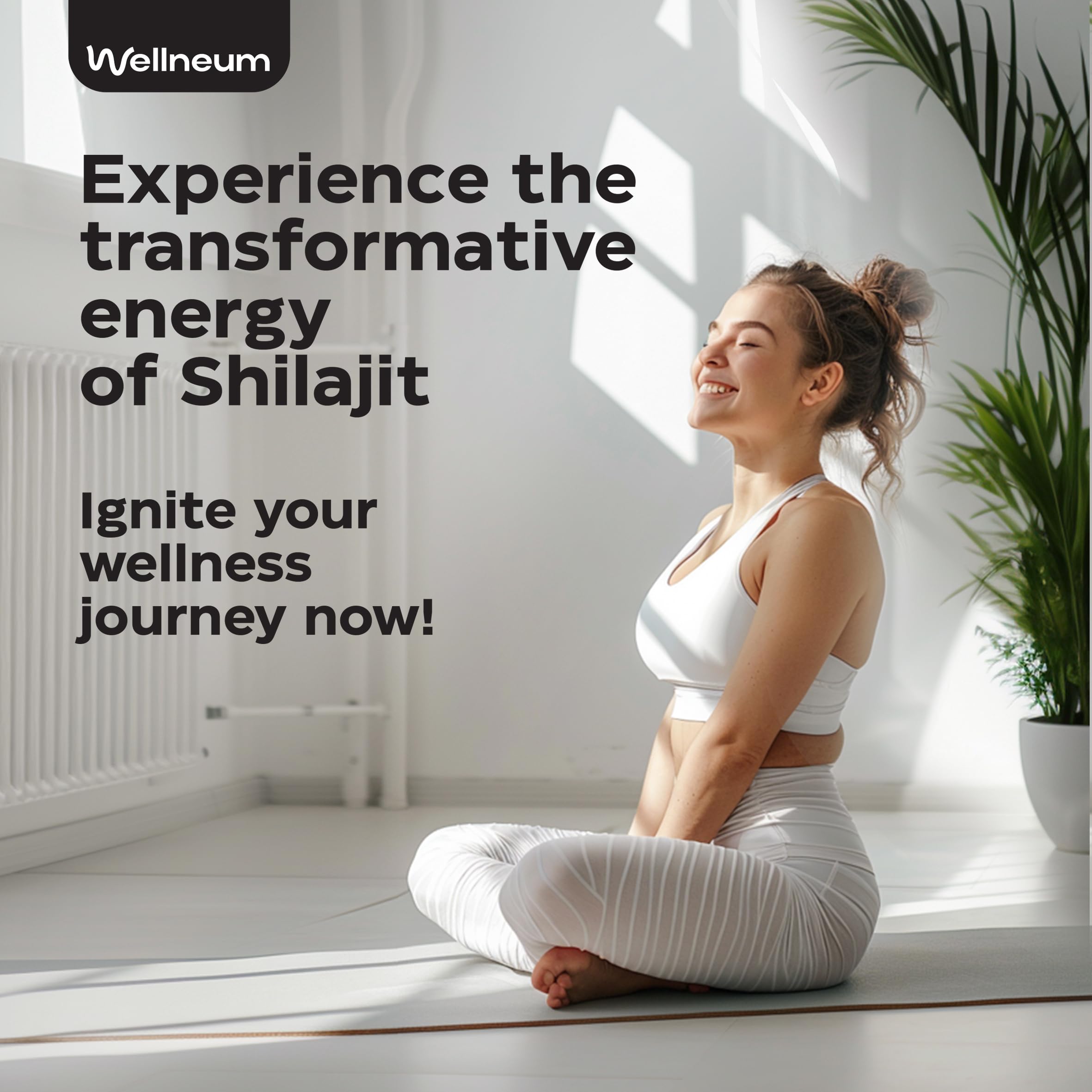 Shilajit resin for mineral balance