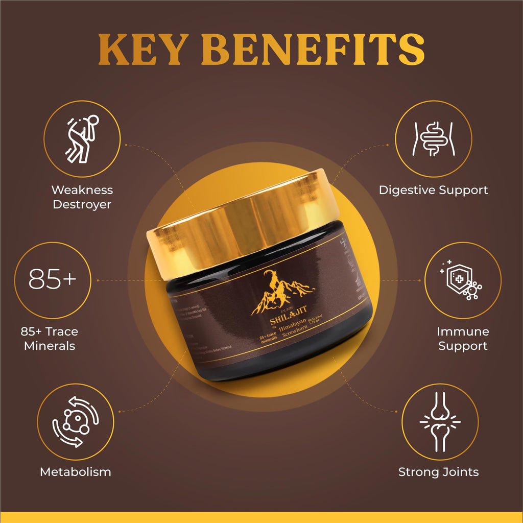 shilajit resin for natural energy