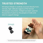 shilajit resin for overall health