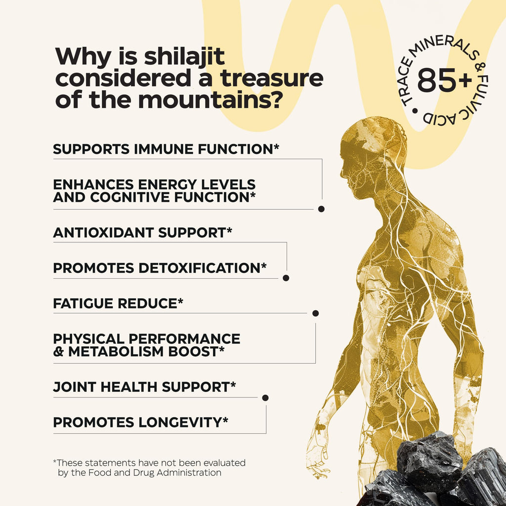 shilajit resin for overall health