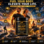 shilajit resin for overall wellness