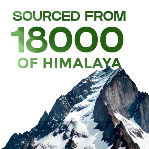 shilajit resin for overall wellness