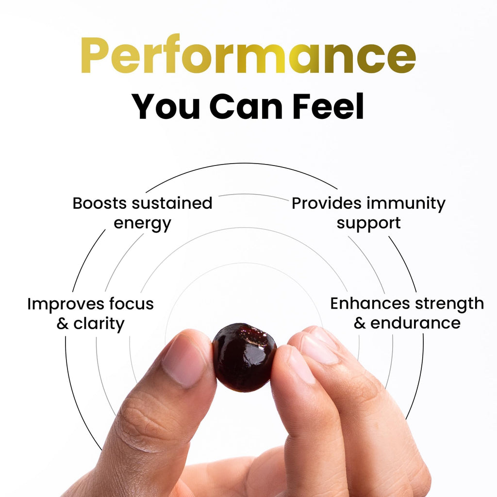 shilajit resin for stamina
