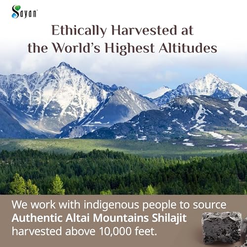 shilajit resin for vitality boost