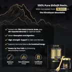 shilajit resin for vitality boost