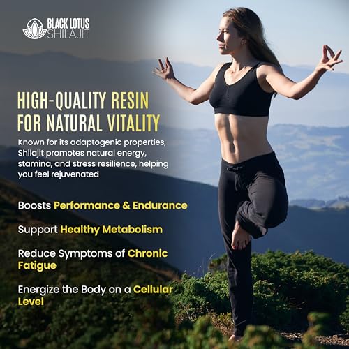 Shilajit resin for vitality boost