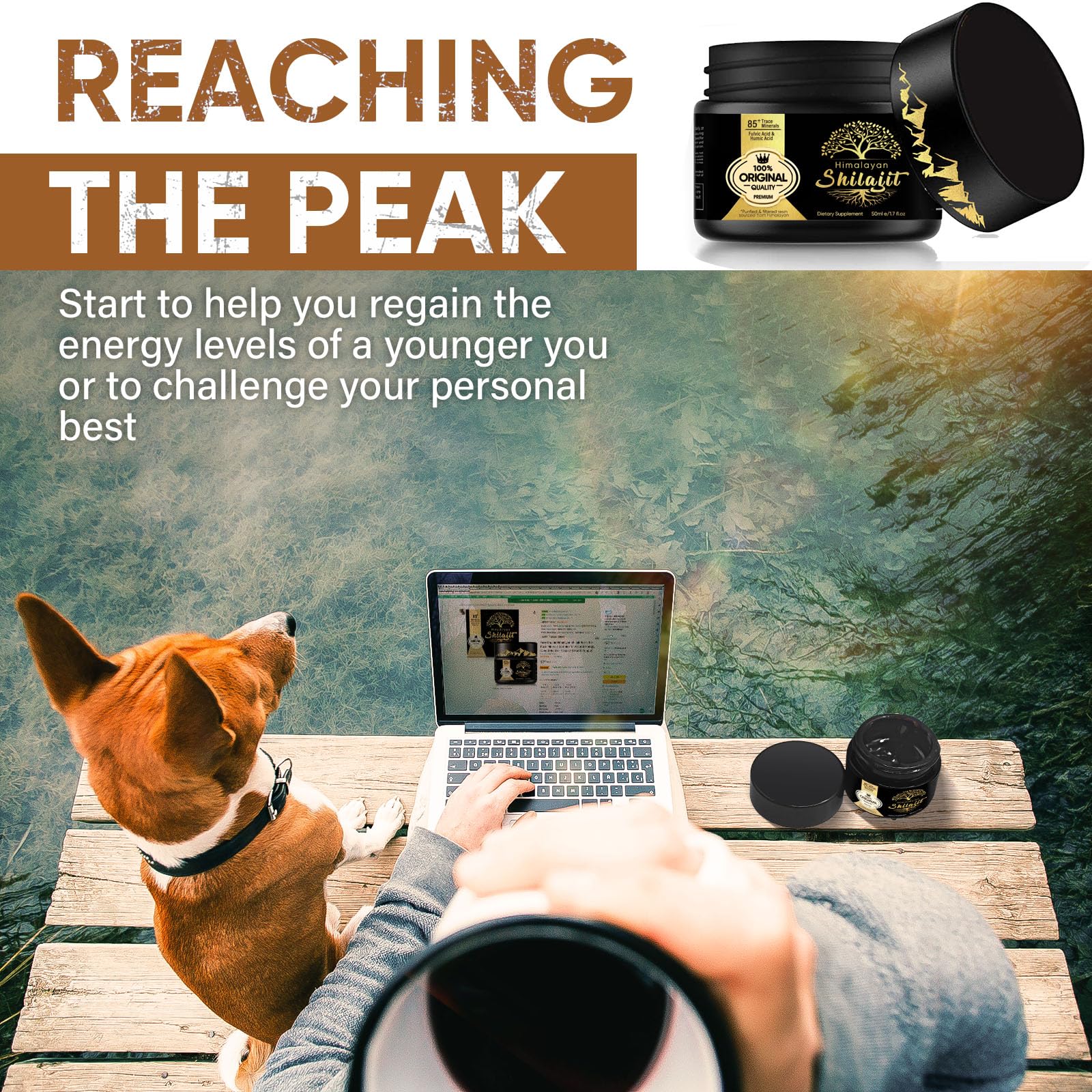 Shilajit resin for vitality support