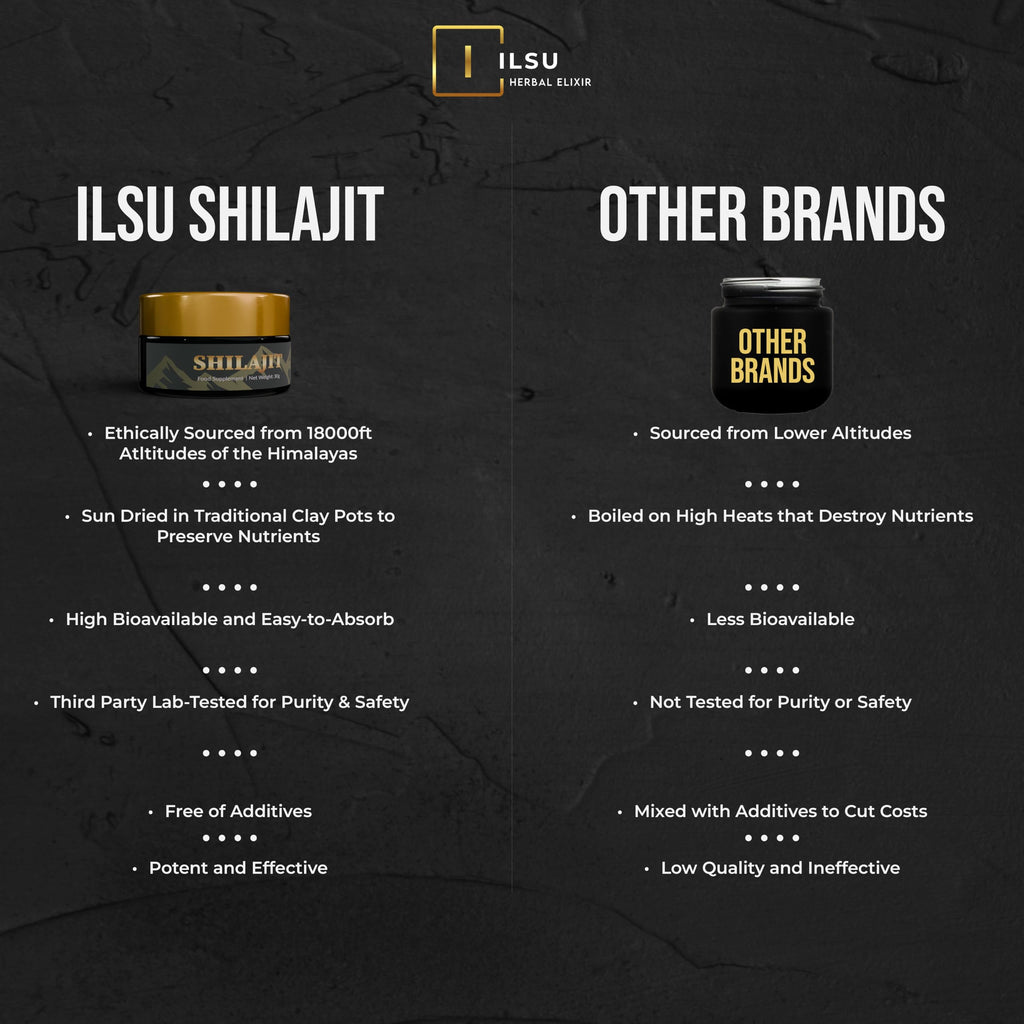 shilajit resin for vitality support