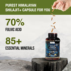 shilajit resin for vitality