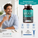 shilajit resin for vitality