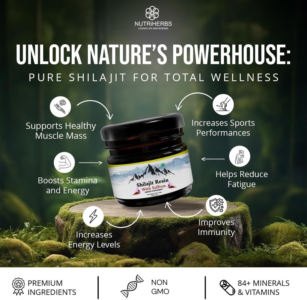 shilajit resin improves memory