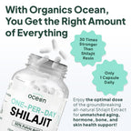 shilajit resin supplement for wellness