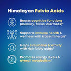 shilajit resin supplement for wellness