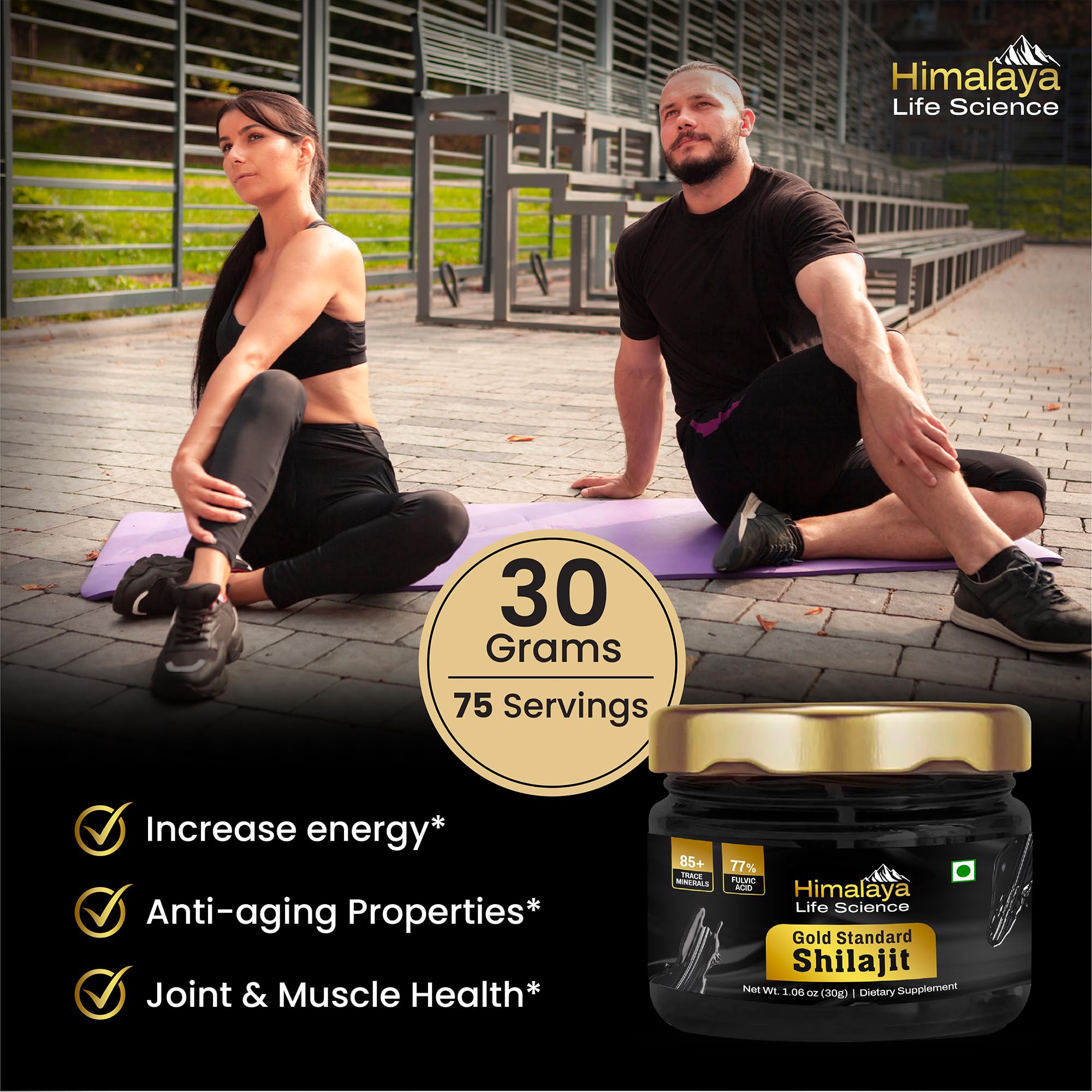 shilajit resin with trace minerals