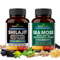 Shilajit Sea Moss health benefits