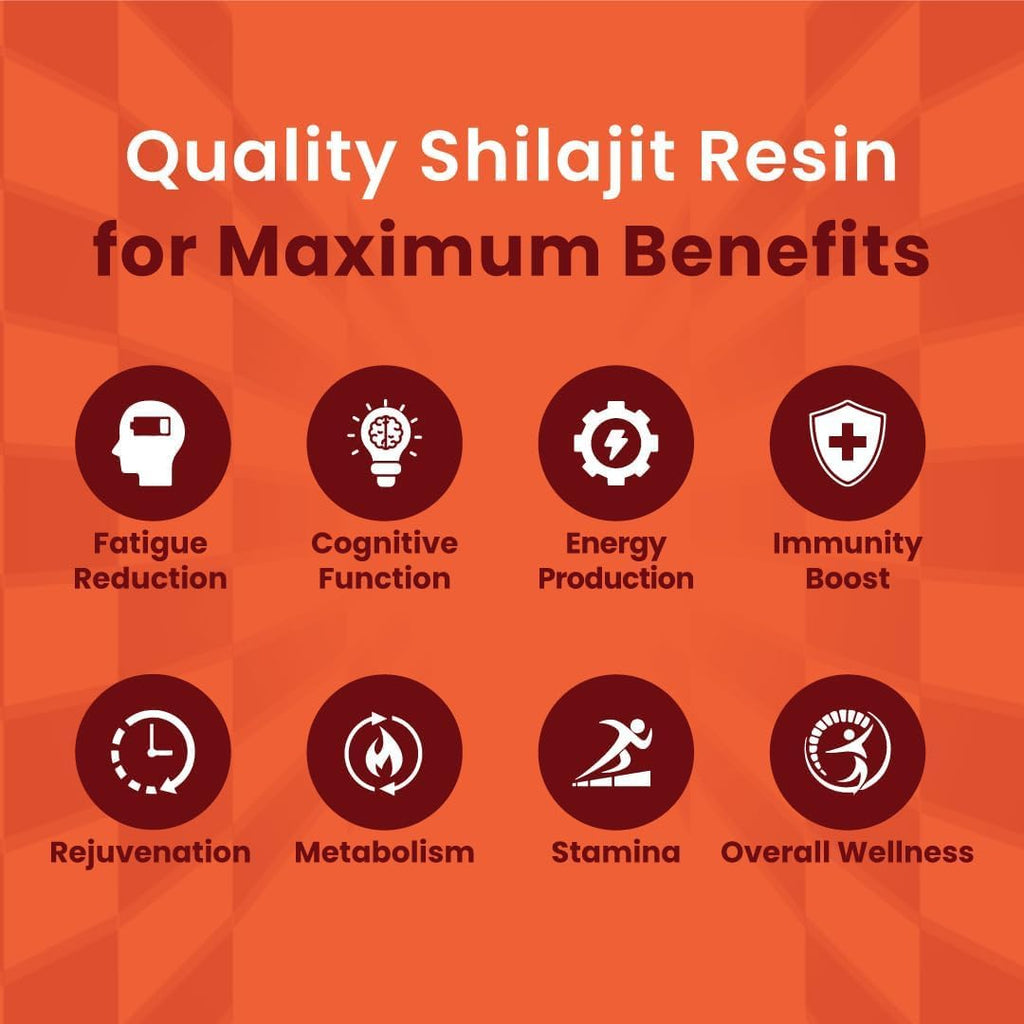 Shilajit softgels for enhanced absorption