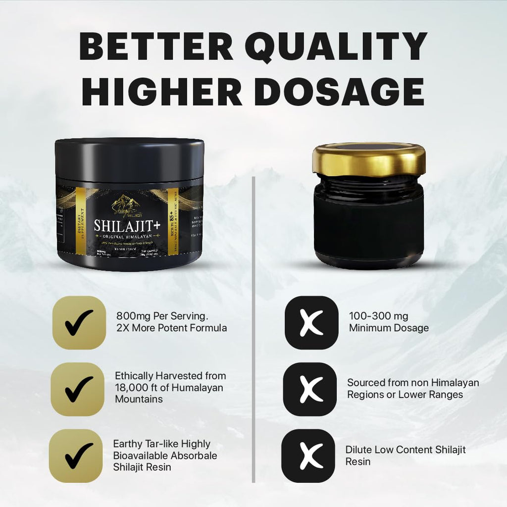 shilajit supplement for active lifestyle