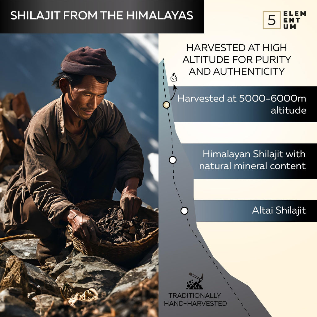 shilajit supplement for active lifestyle