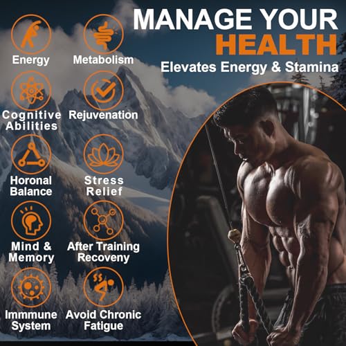 Shilajit supplement for active lifestyle