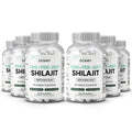 shilajit supplement for bone health