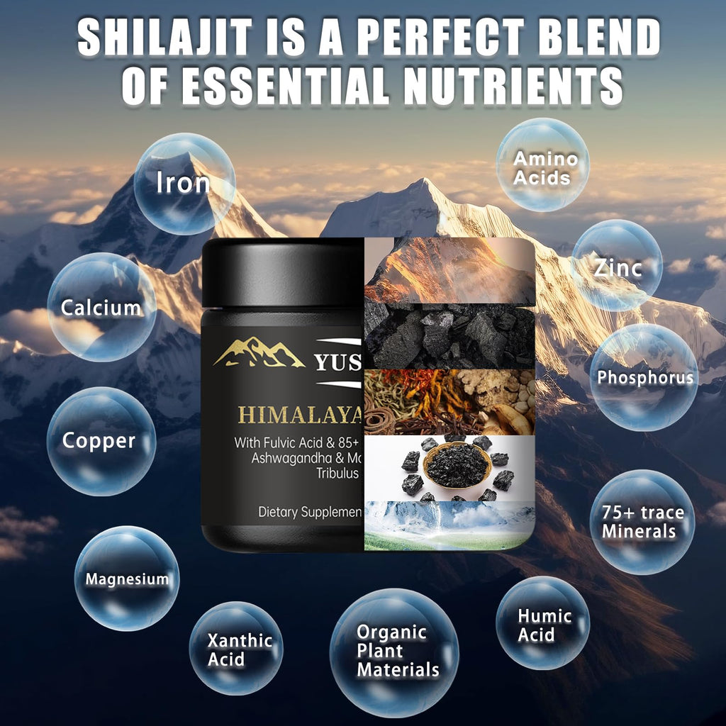 Shilajit supplement for daily energy