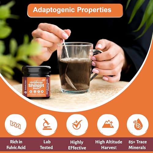 shilajit supplement for daily energy