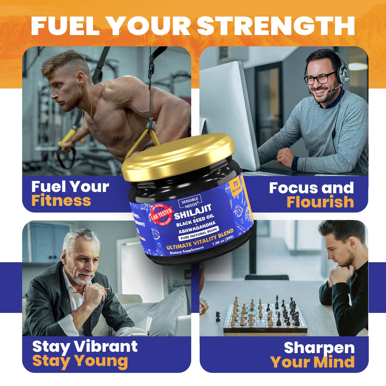 shilajit supplement for daily energy
