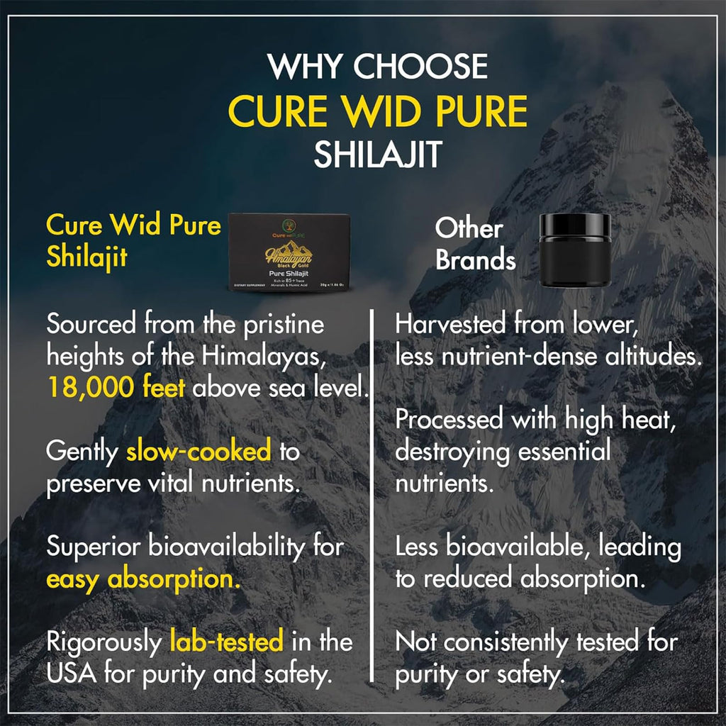 Shilajit supplement for daily wellness