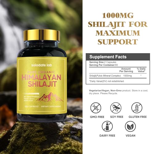 shilajit supplement for daily wellness