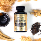 shilajit supplement for endurance